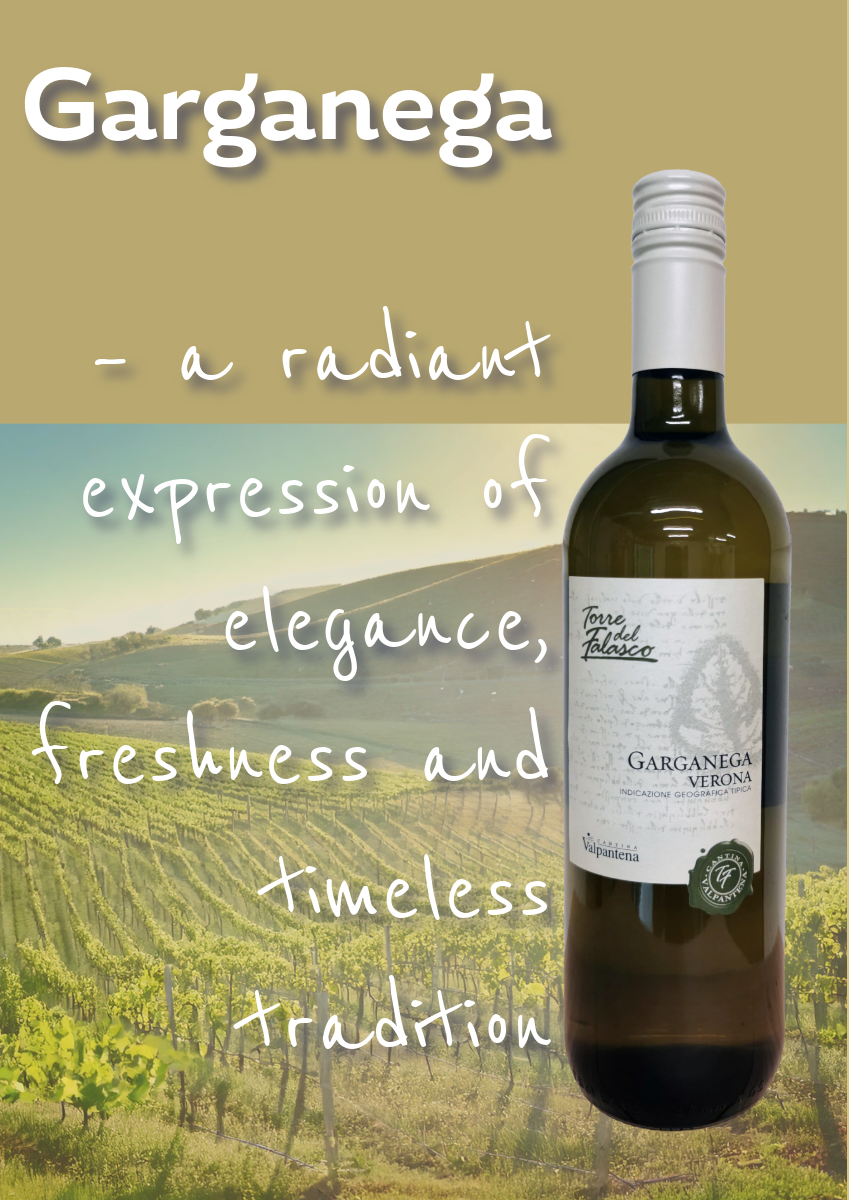 Garganega 2024 – Bray Valley Wines