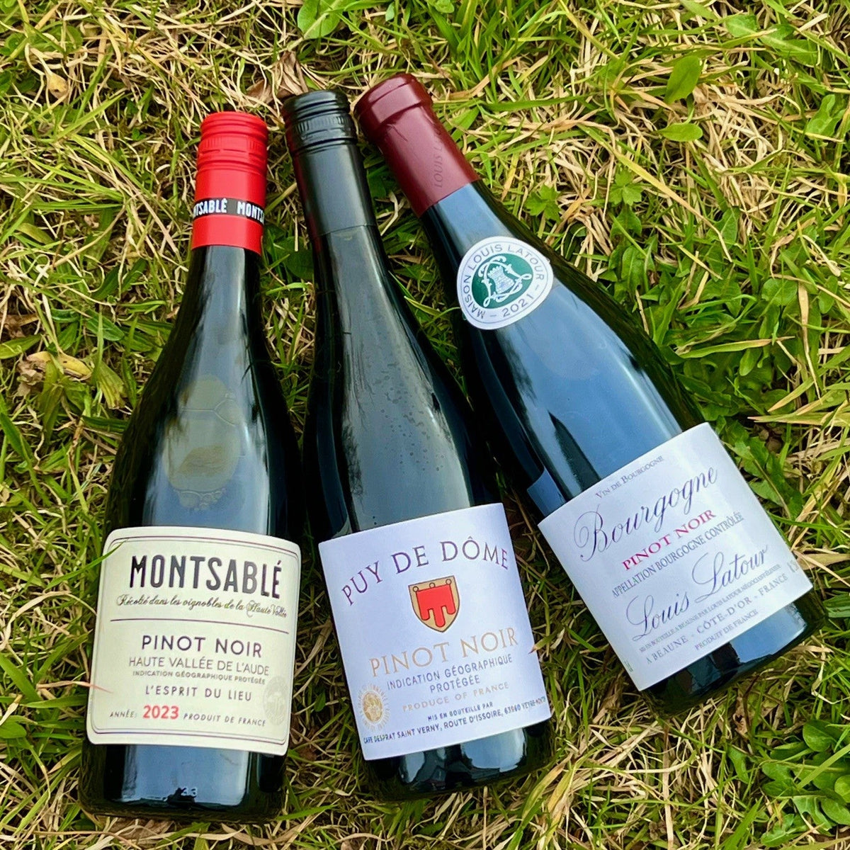 French Pinot Noir – Bray Valley Wines